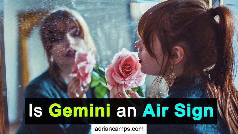 Is Gemini an Air Sign: A Guide to Their Split Personalities ...